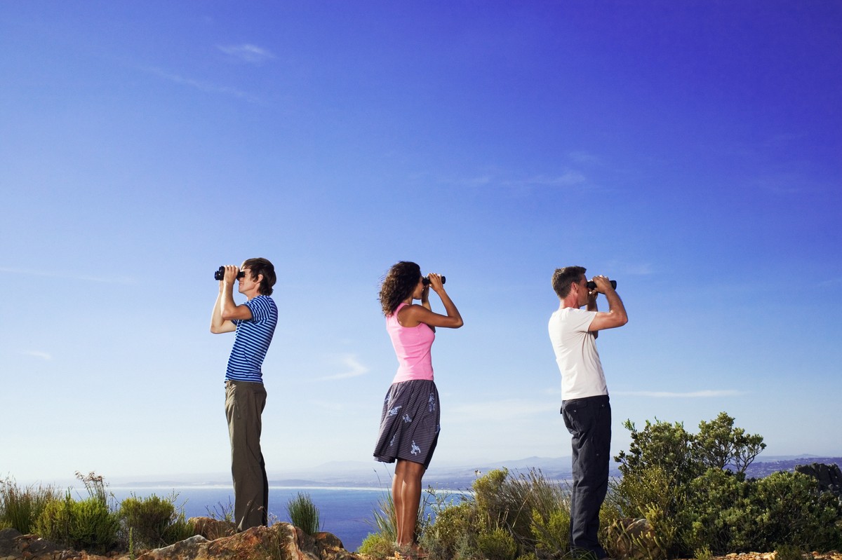 Comprar, observar e cuidar: as avaliações do Citi para 3 ações de ...