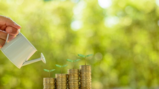 Verde cita incerteza 'enorme', mas vê oportunidade e compra mais bolsa brasileira