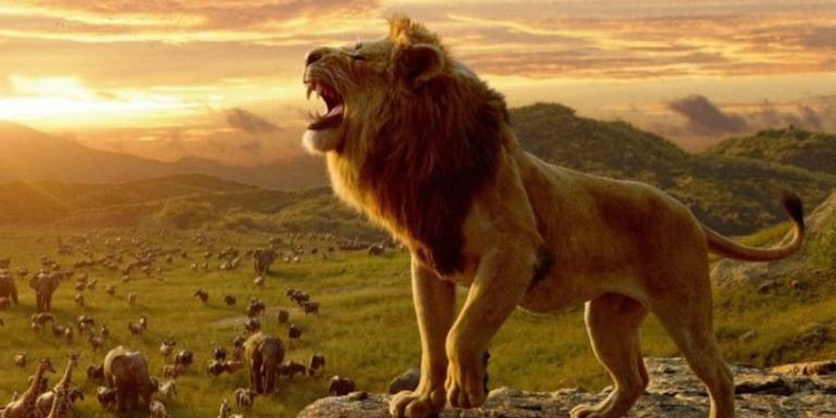 Rei Leão estreia hoje! Saiba quanto custa visitar o parque que inspirou ...