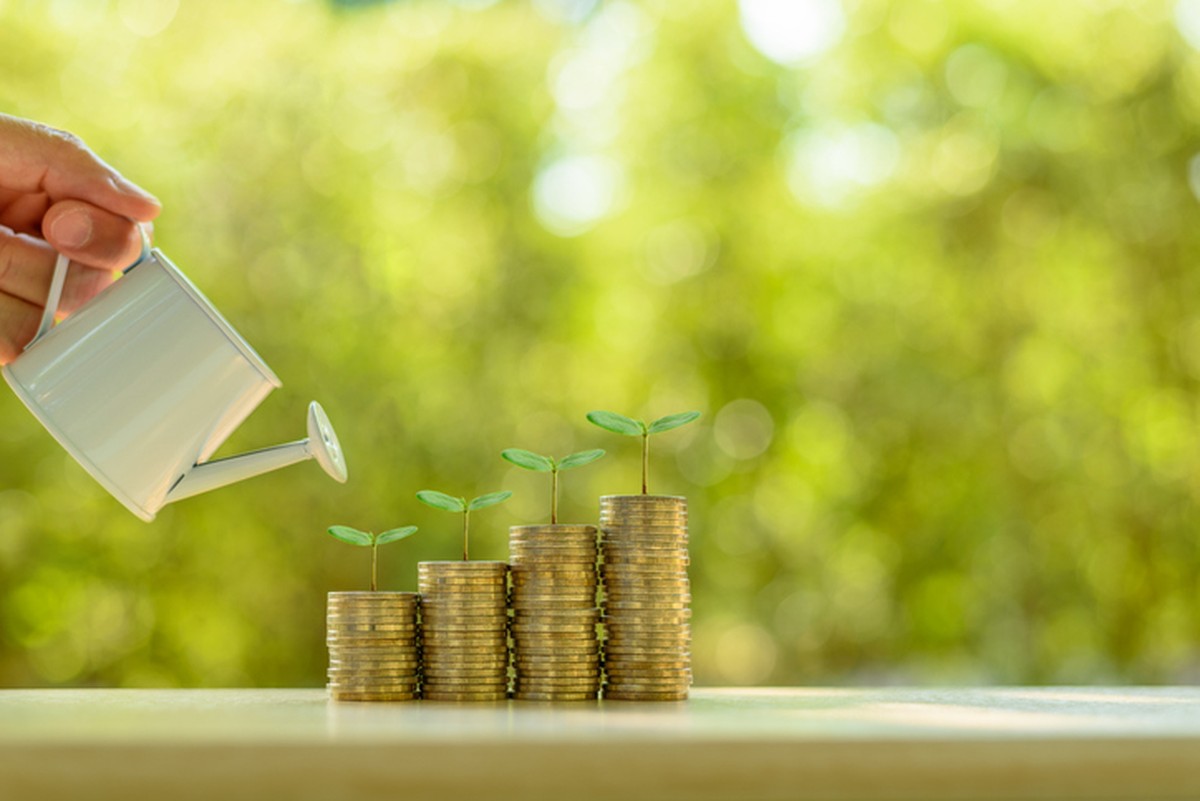 Quer investir em ações ligadas à economia verde? Agora ficou mais fácil ...
